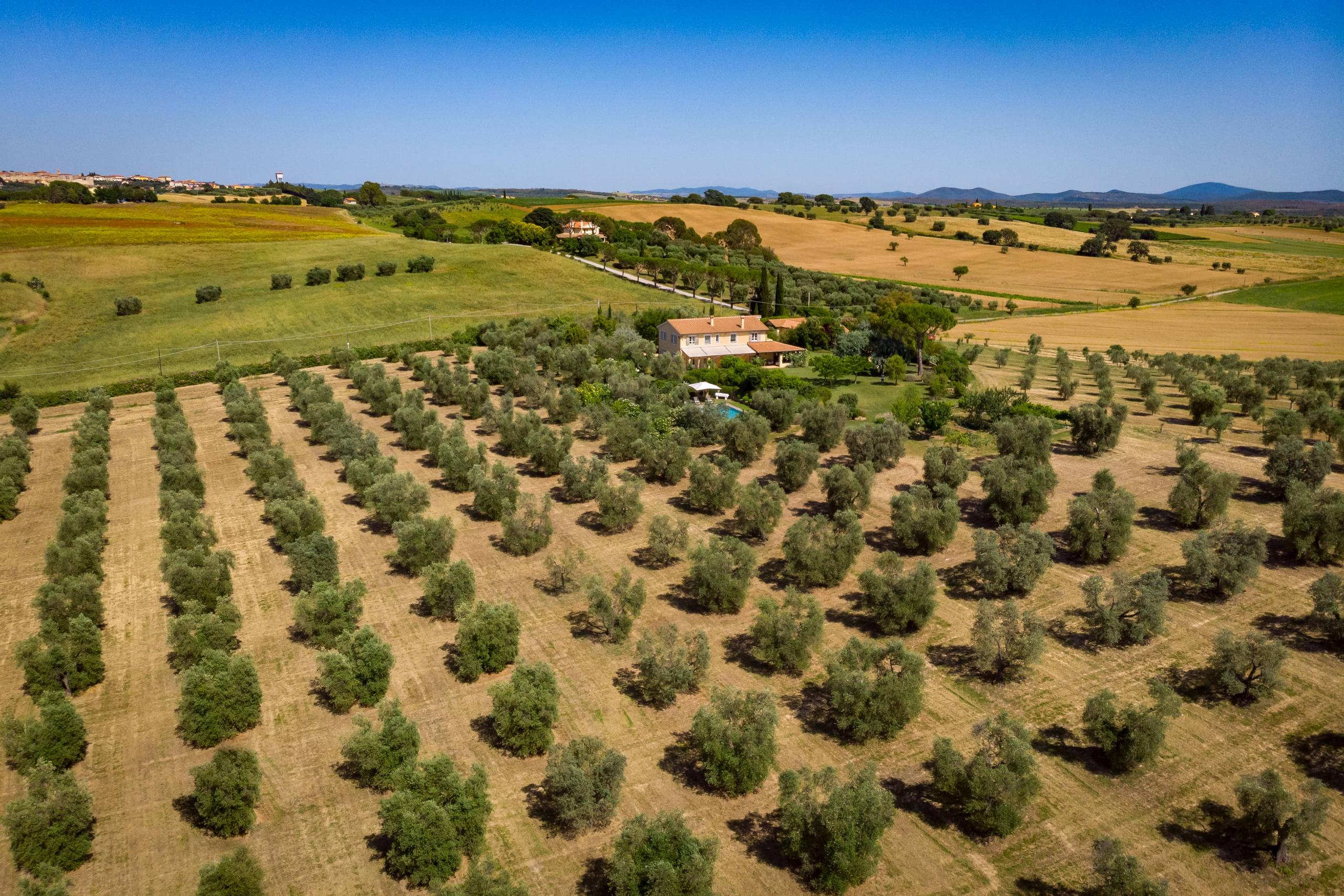 Vivere in campagna: i vantaggi di una vita lenta e immersa nella natura ...