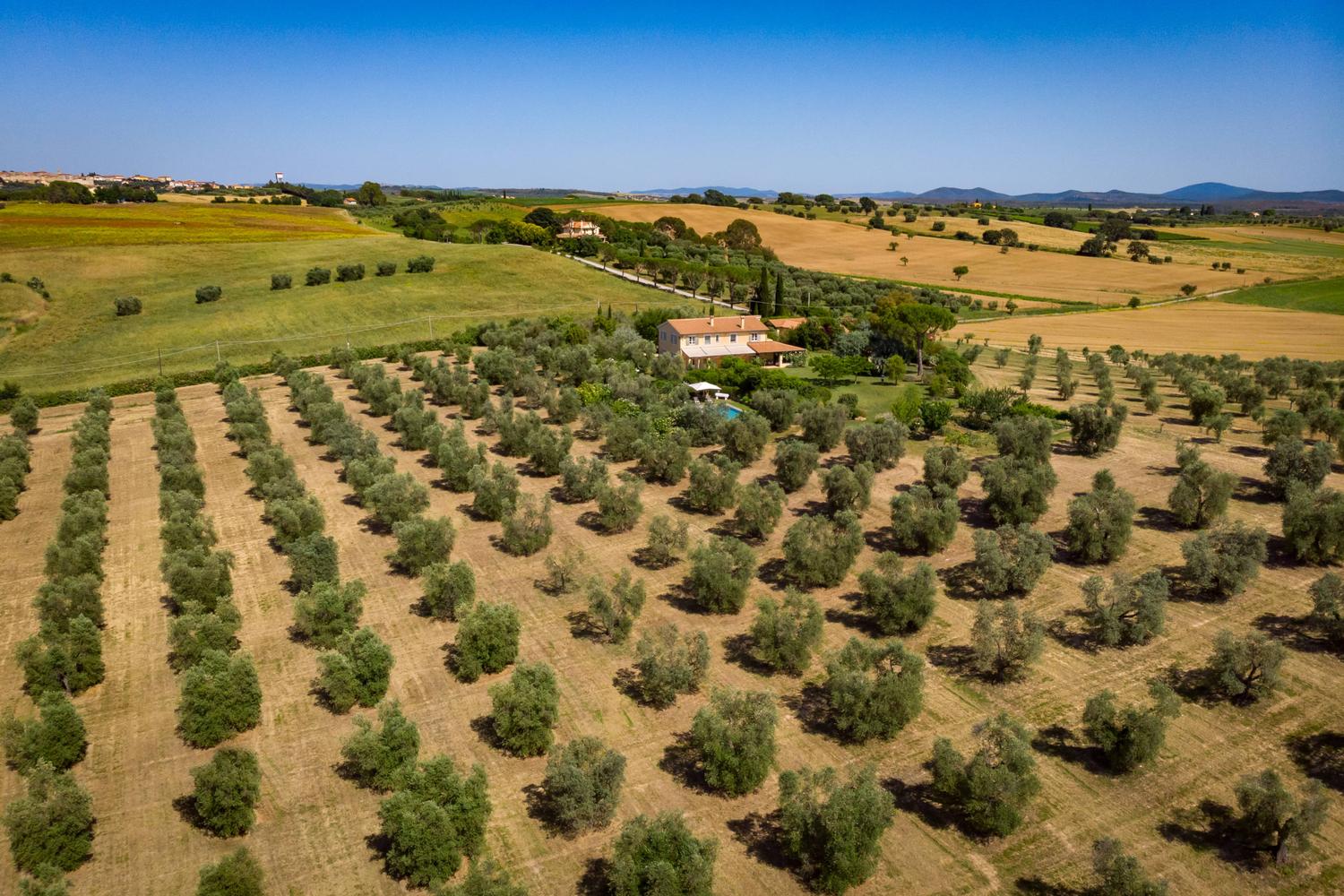 Living in the countryside: the advantages of a slow life surrounded by ...